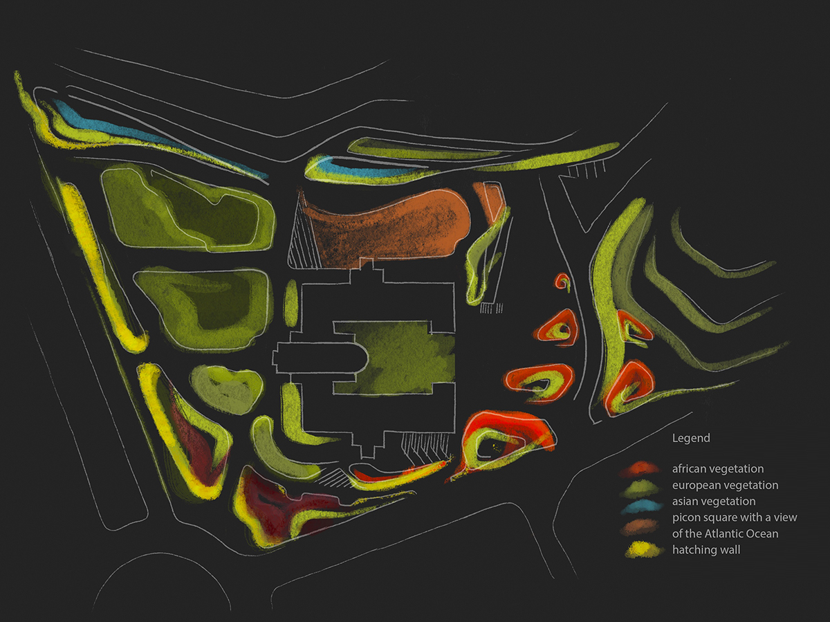 9-Viera-Types of vegetation – Fernando Menis